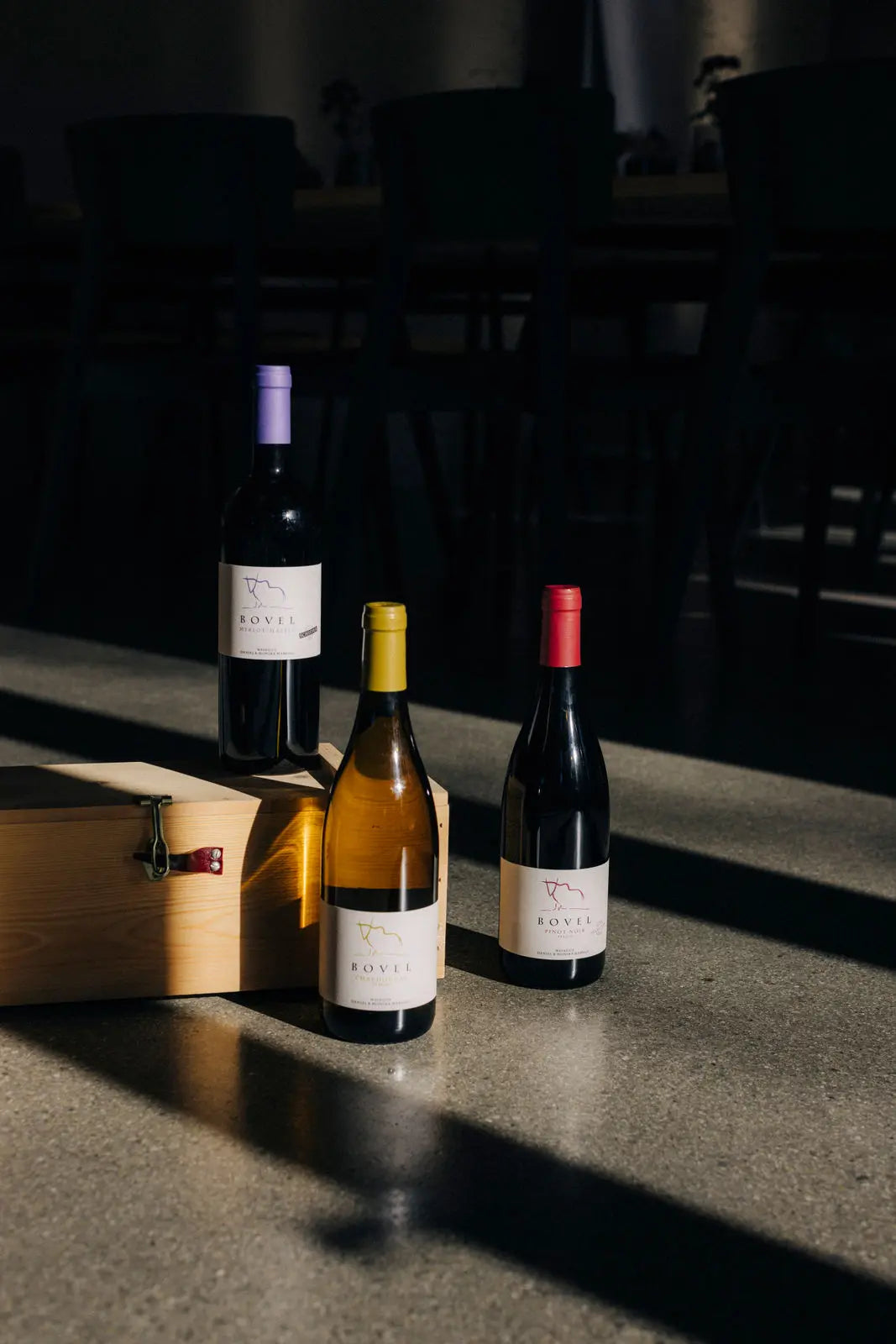 Probierpakete vom Weingut Marugg | Weine aus Fläsch entdecken
