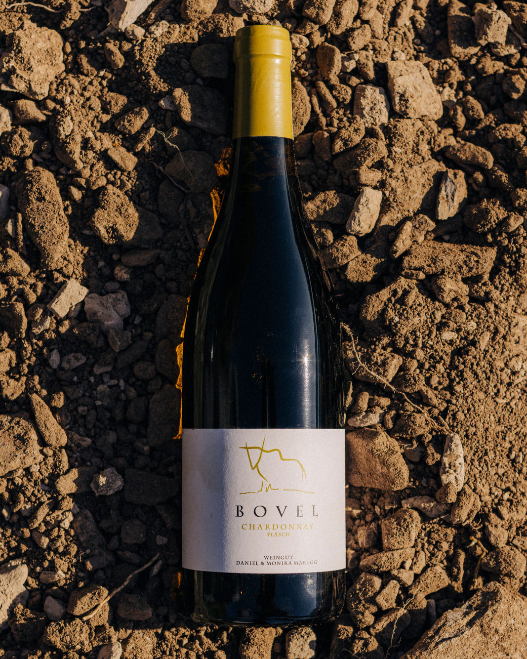 Weingut Marugg in Fläsch | Weinbau mit Hingabe & Innovation