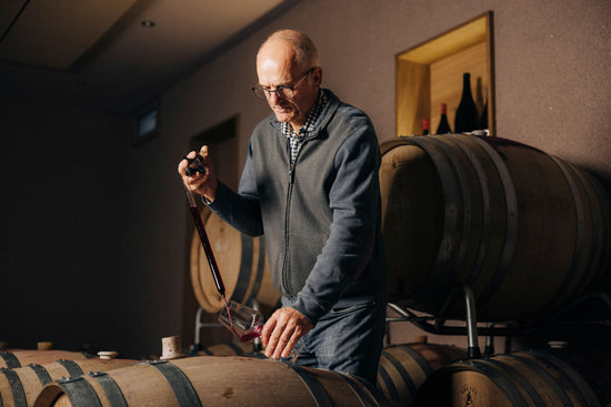 Weingut Marugg in Fläsch | Weinbau mit Hingabe & Innovation