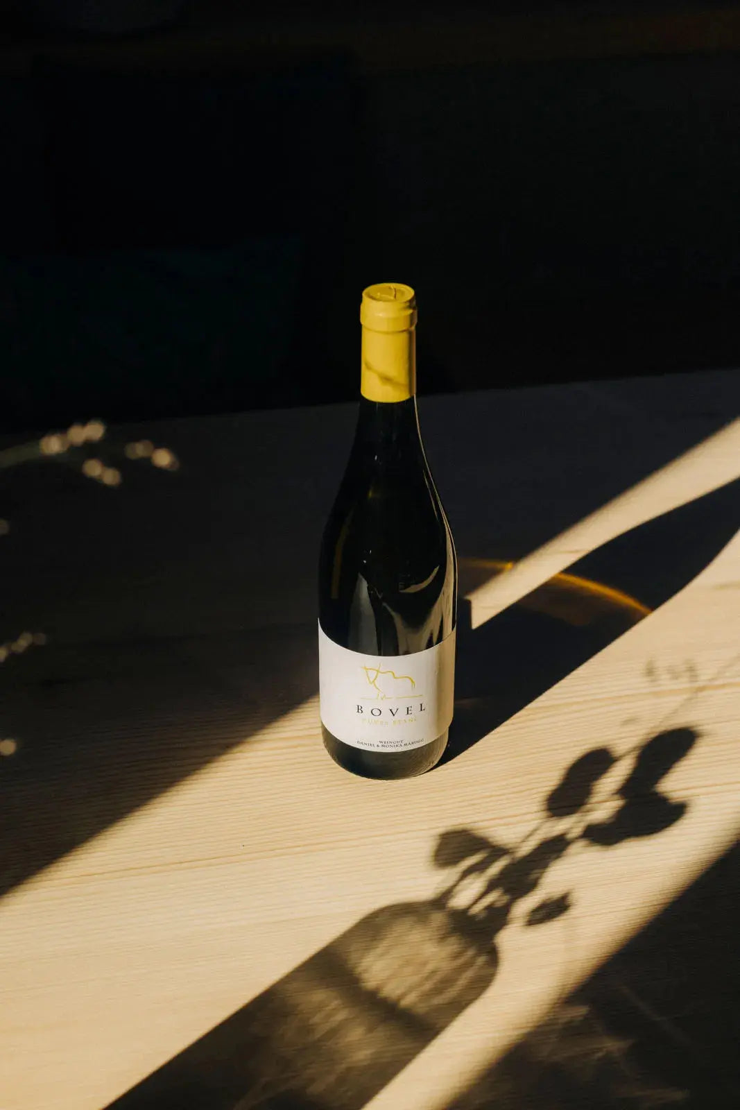 Cuvée Blanc «Bovel» | Weingut Marugg – Weisswein aus Fläsch